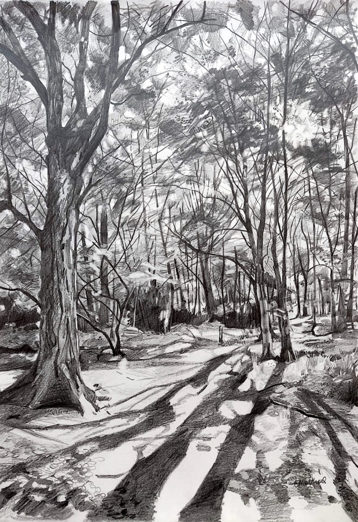Drawings - Caroline Matthews Art