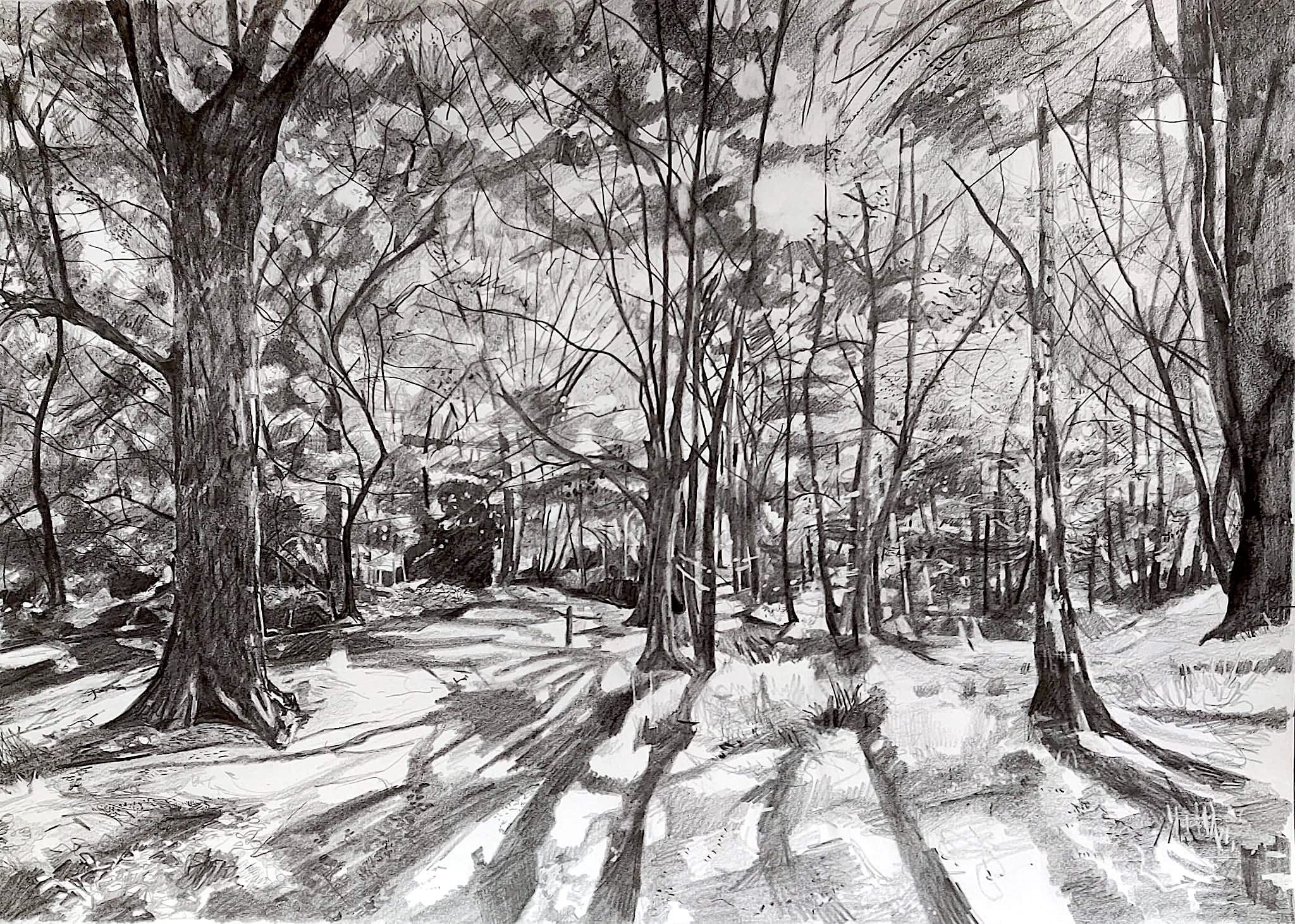 Drawings - Caroline Matthews Art